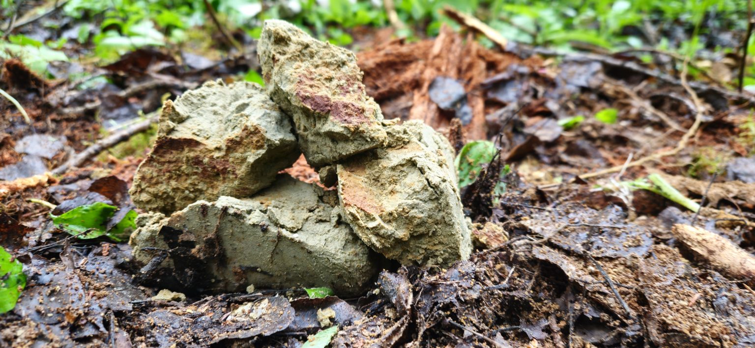 Vegetation Sampling Network (VSN) – KBM